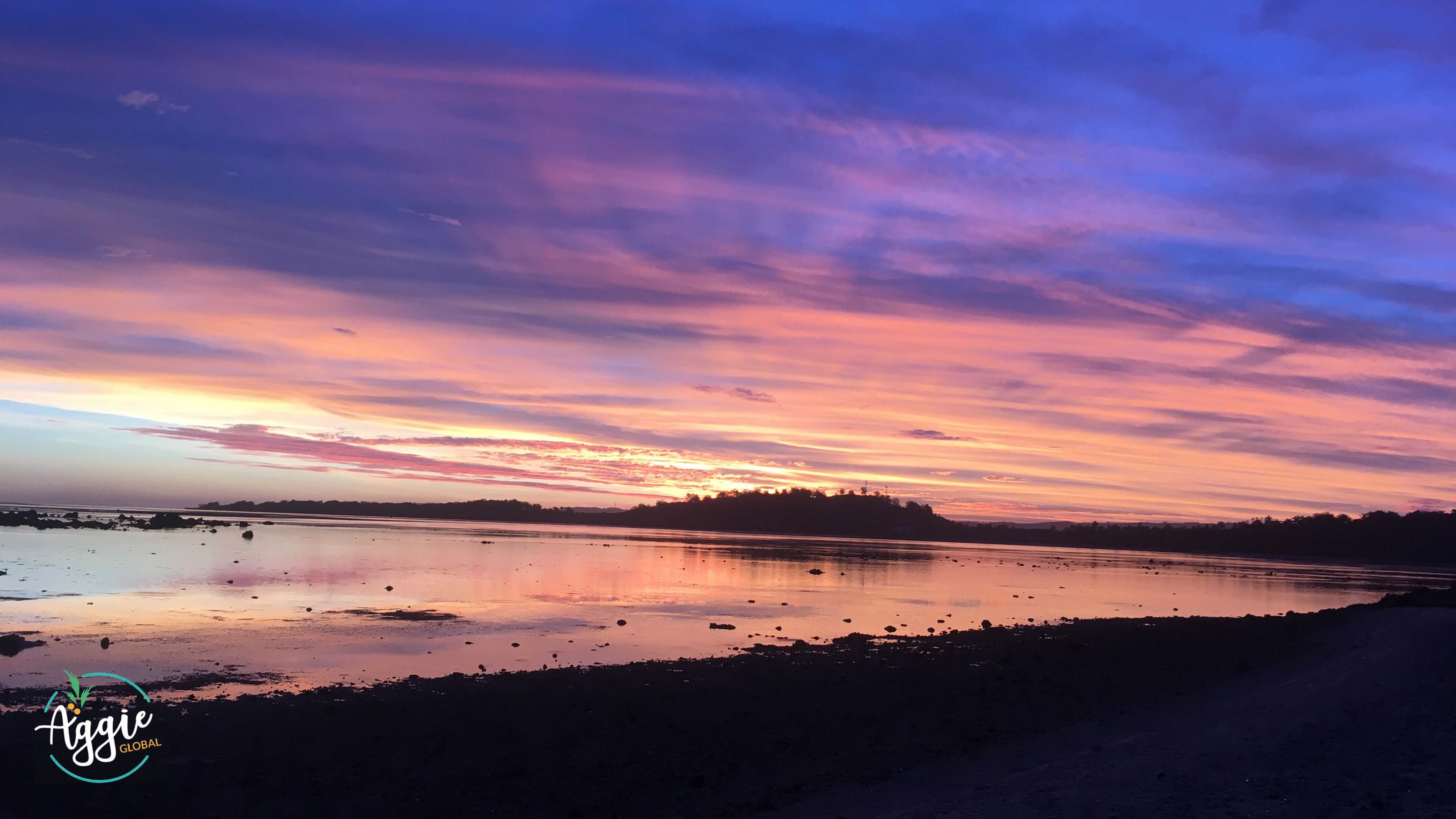 Fijian Crop and Food Seasonality Calendar 2022 – Aggie Global Fiji